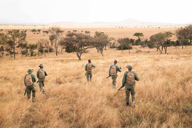 Anit Poaching Unit | Elephant & Rhino Conservation in Africa | ACCF